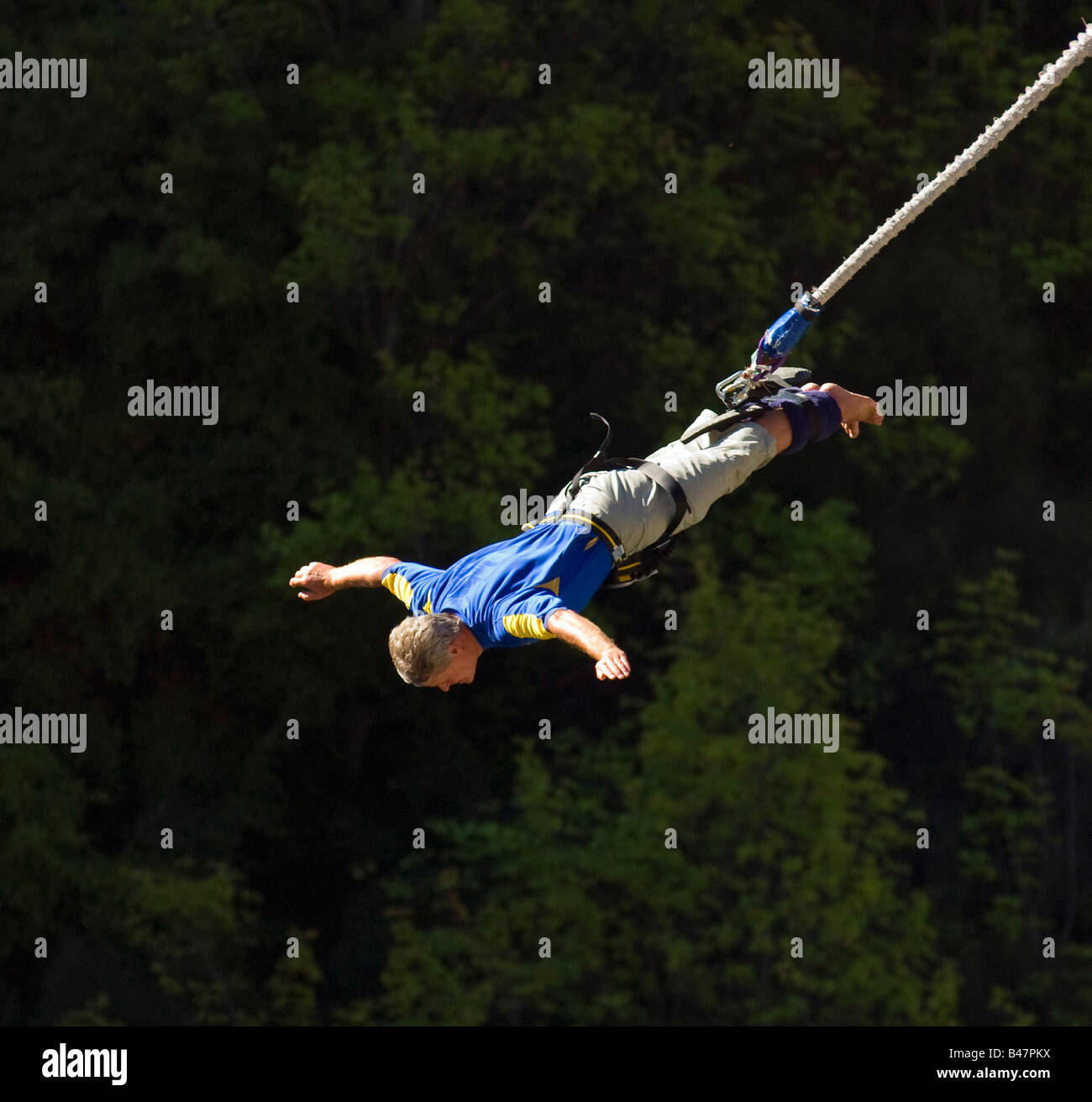 Man bungee jumping from a bridge hi-res stock photography and images ...