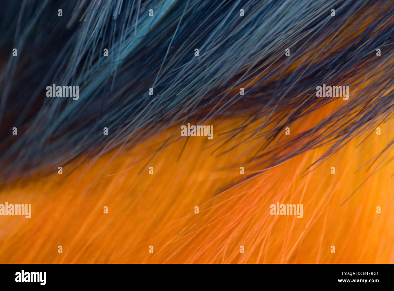 Orange color stripe hi-res stock photography and images - Alamy