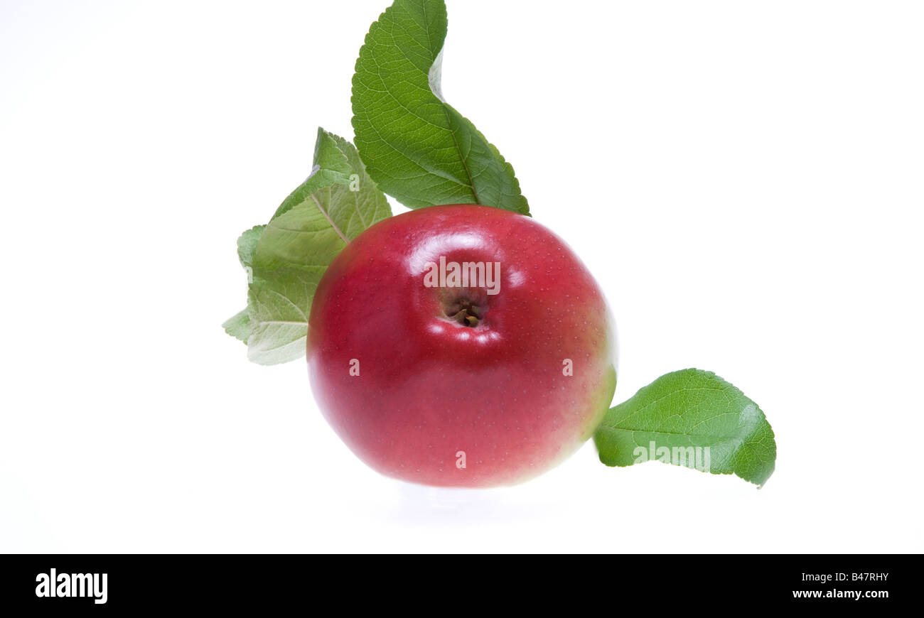Red apple with leaf isolated on white Stock Photo - Alamy