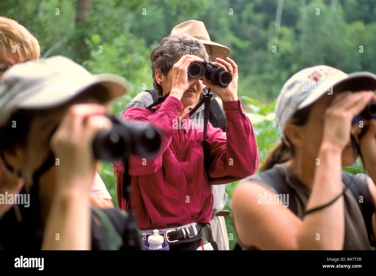 Group of people looking through binoculars watching for birds Stock ...
