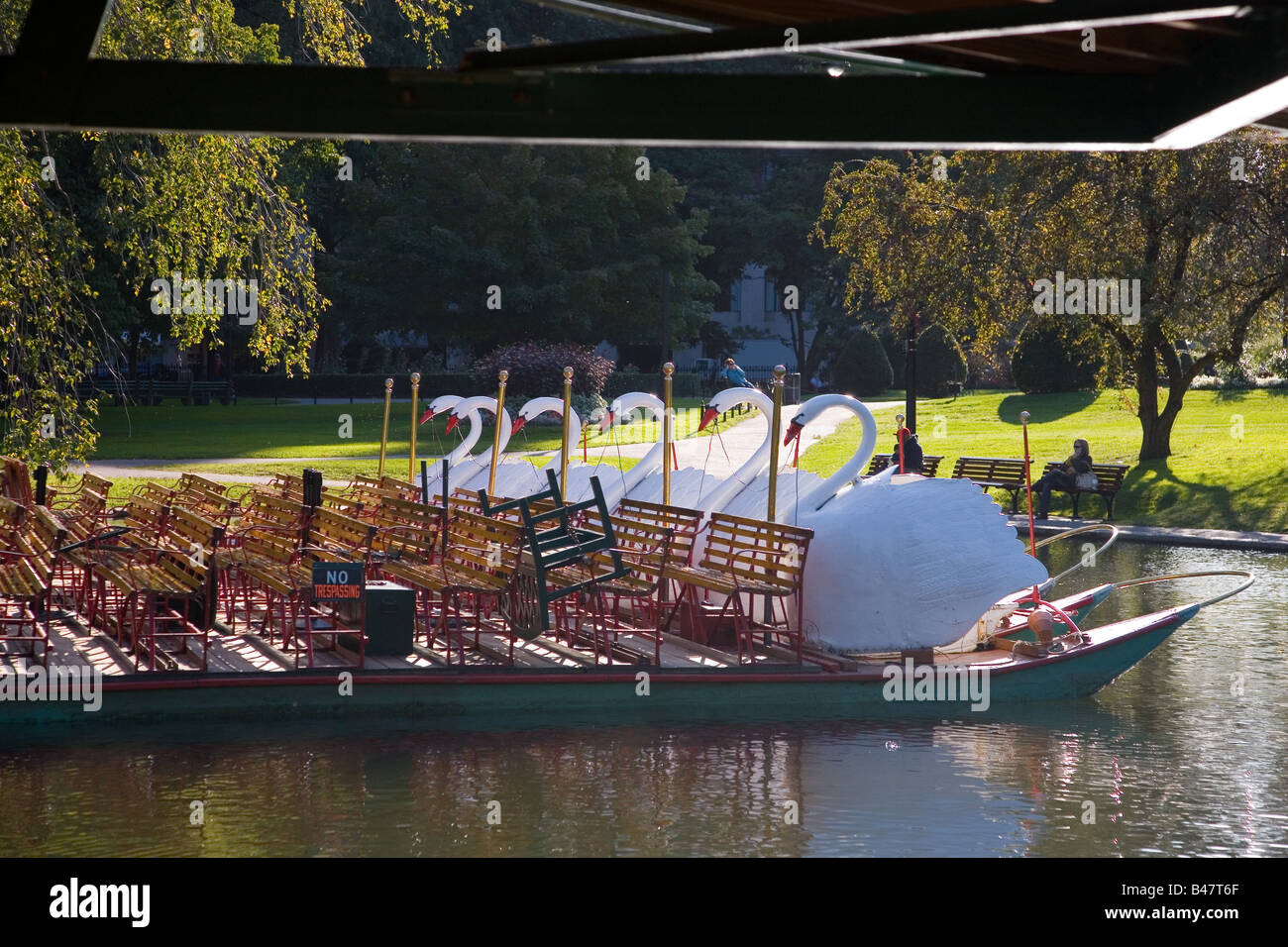 Swan Boats on the Lagoon, Boston Common, Massachusetts Stock Photo - Alamy