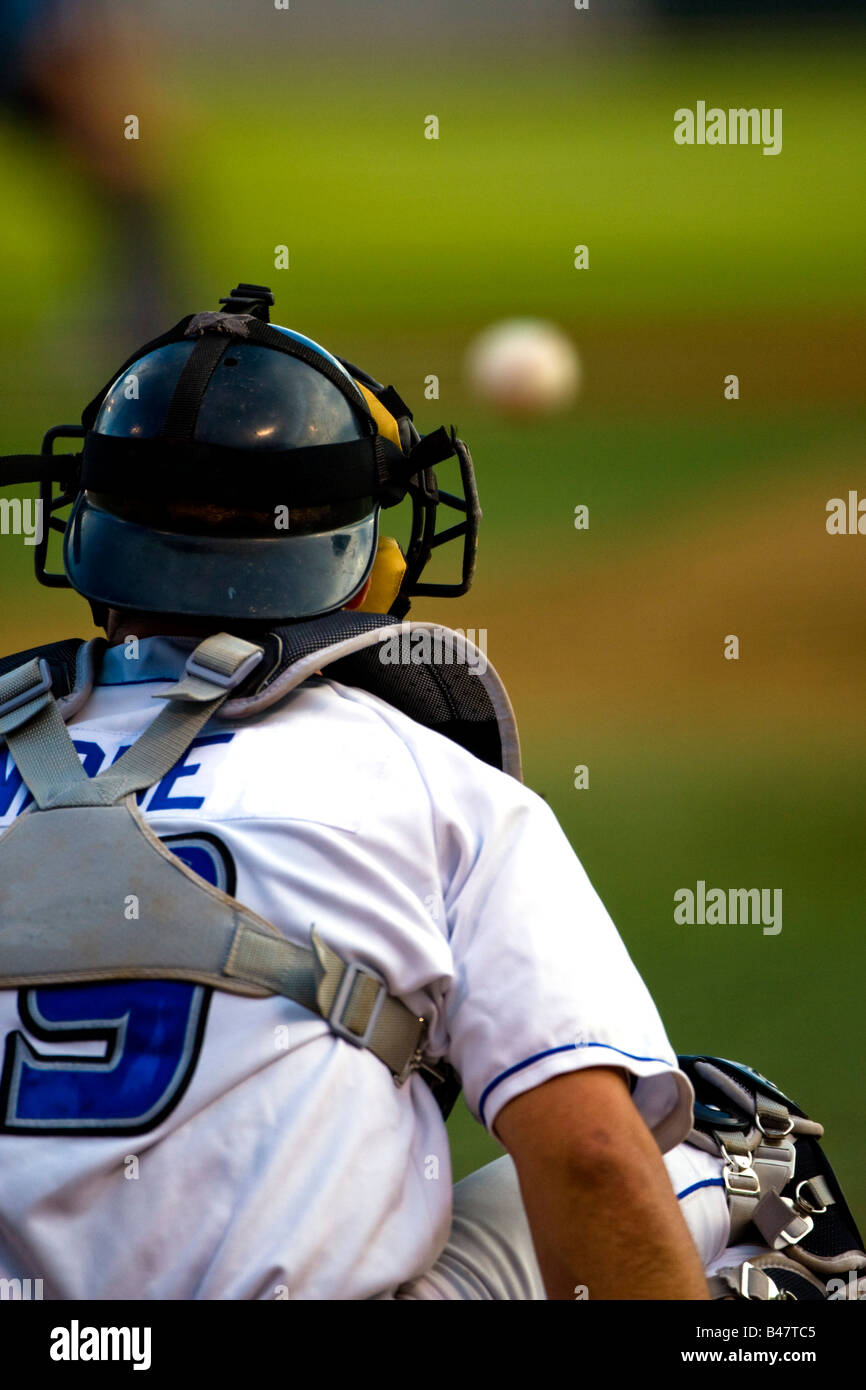 Professional baseball catcher hi-res stock photography and images - Alamy