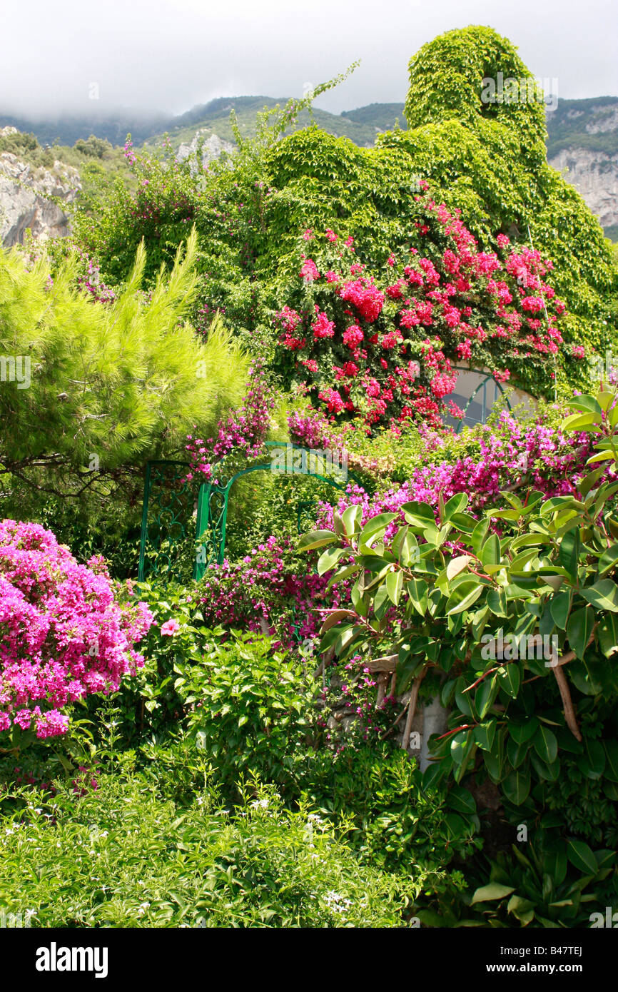 spectacular flower covered terrace at the five star Il San Pietro Hotel ...