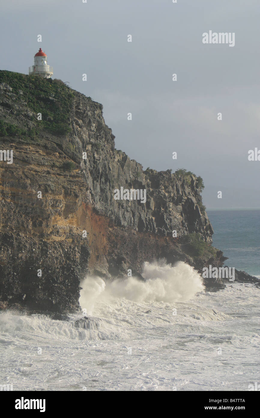 Lighthouse taiaroa head hi-res stock photography and images - Alamy