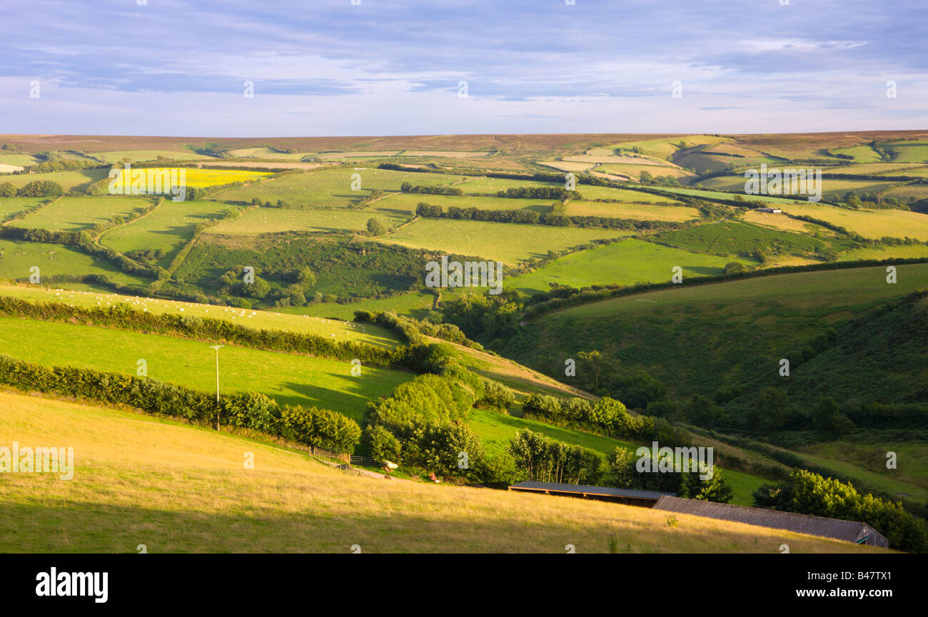 Brendon High Resolution Stock Photography and Images - Alamy