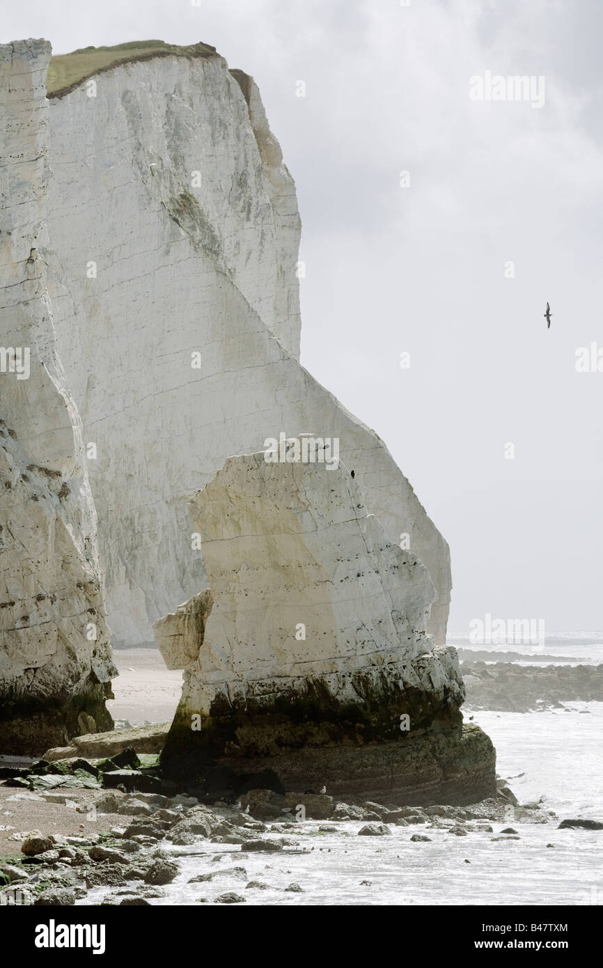 Birds fly over head hi-res stock photography and images - Alamy