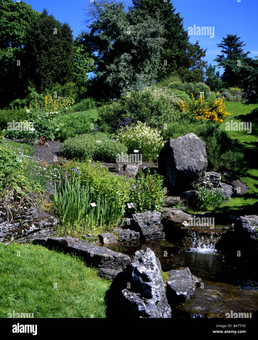 Alpine Garden and waterfall Botanisk Hage, Botanical Gardens, Oslo ...
