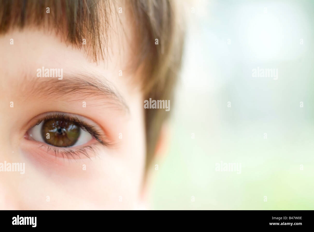 eyes closeup with focus on eyelashes and eyebrows Stock Photo - Alamy
