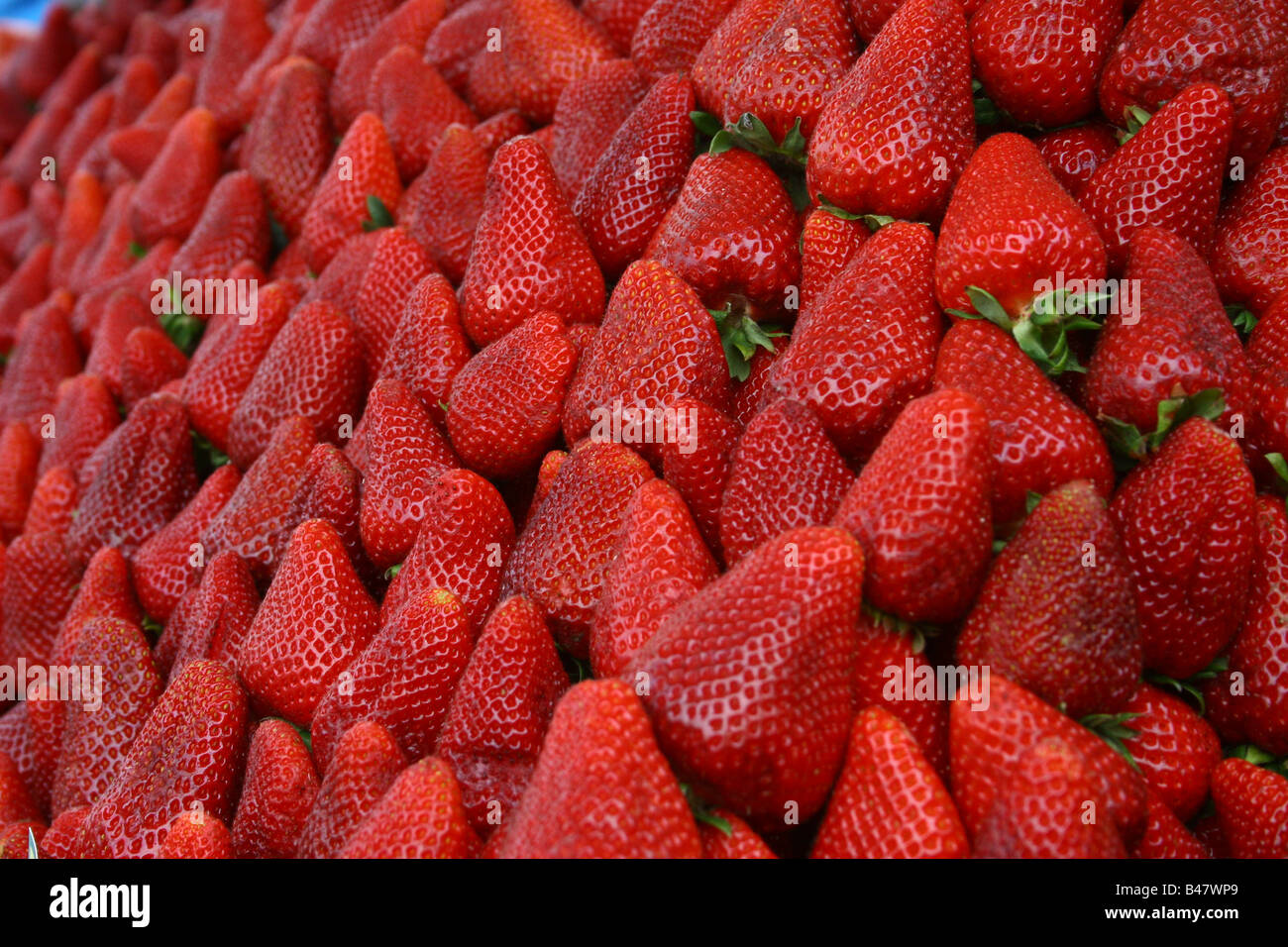 A pile of fresh strawberries Stock Photo - Alamy