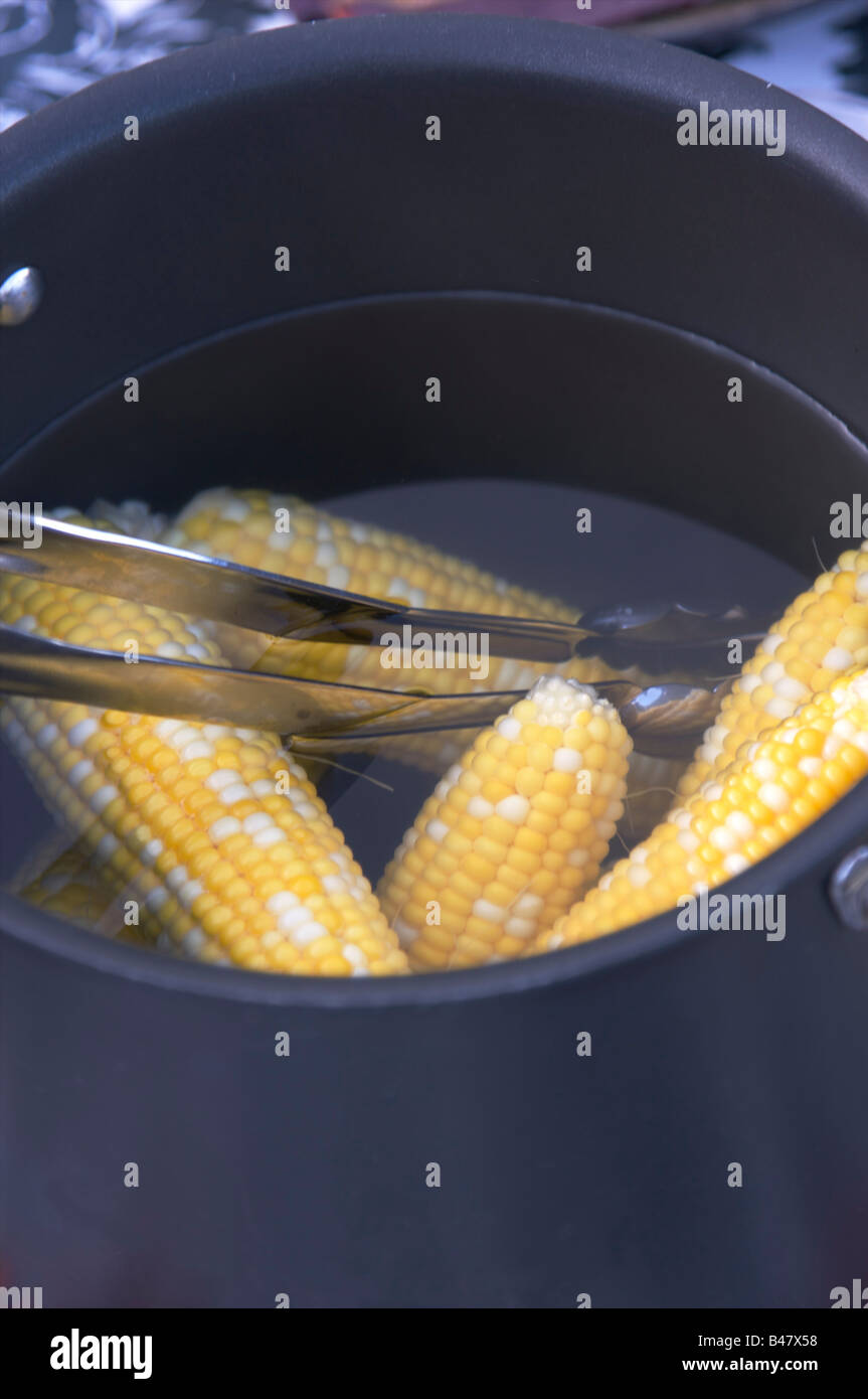 A pot of freshly cooked corn on the cob Stock Photo - Alamy
