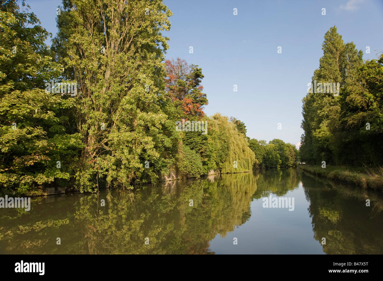 A tree and water landscape viewed from the Grand Union Canal West ...