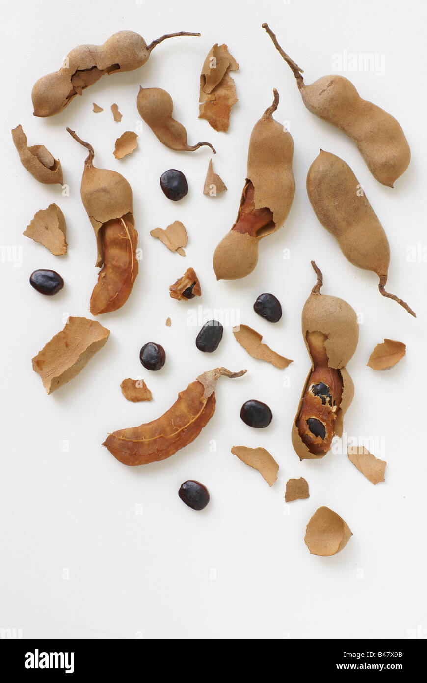tamarind fruits and opened tamarind fruits on a white backgrounds Stock ...