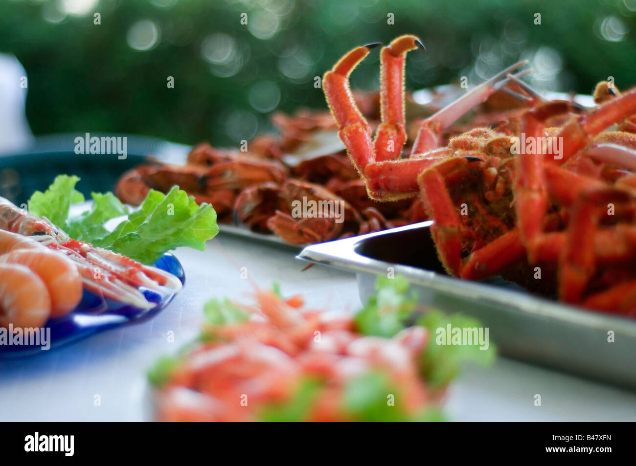fresh spider crabs and shrimp ready to cook Stock Photo - Alamy