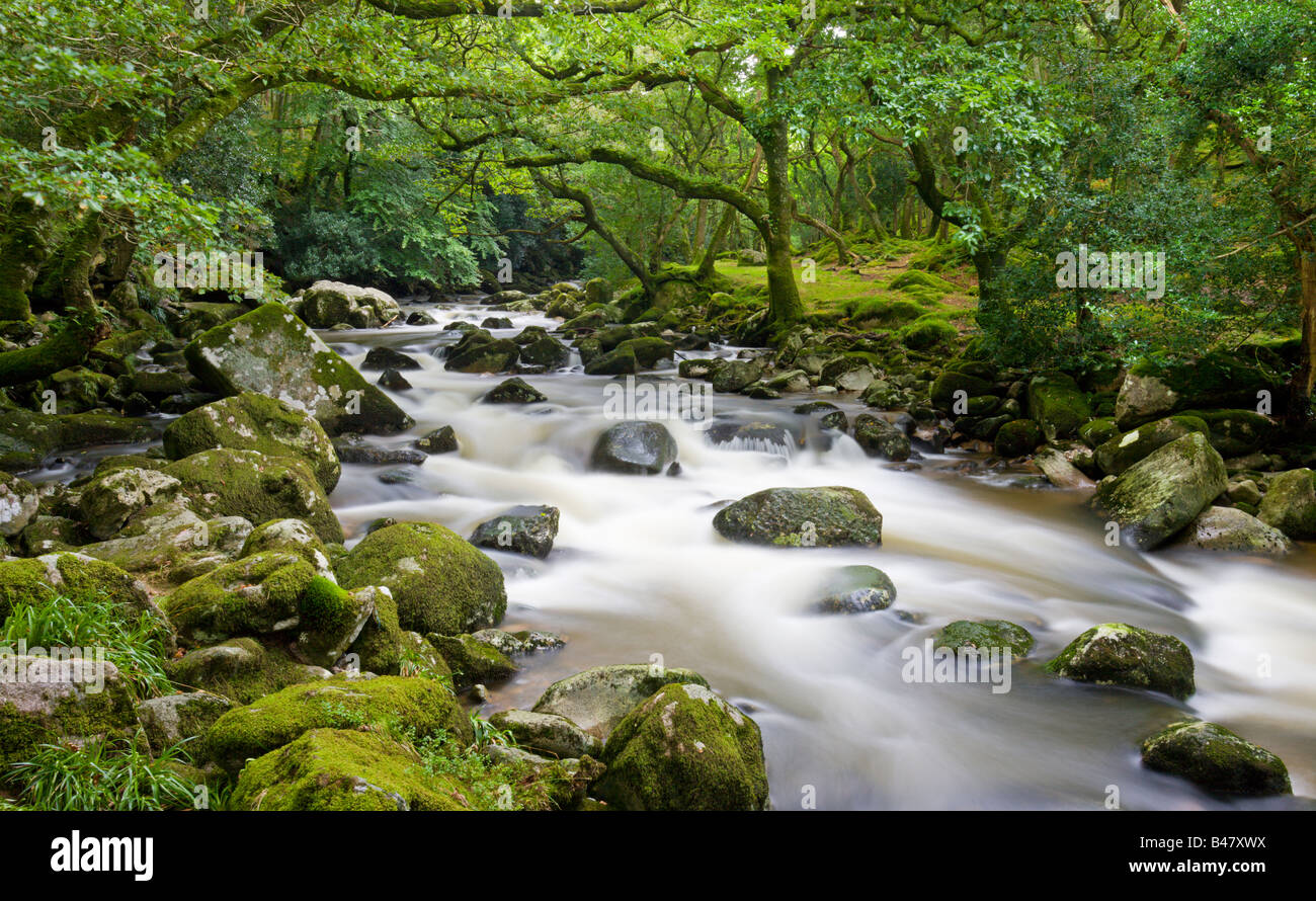 Rocky River Plym near Shaugh Prior in Dartmoor National Park Devon ...