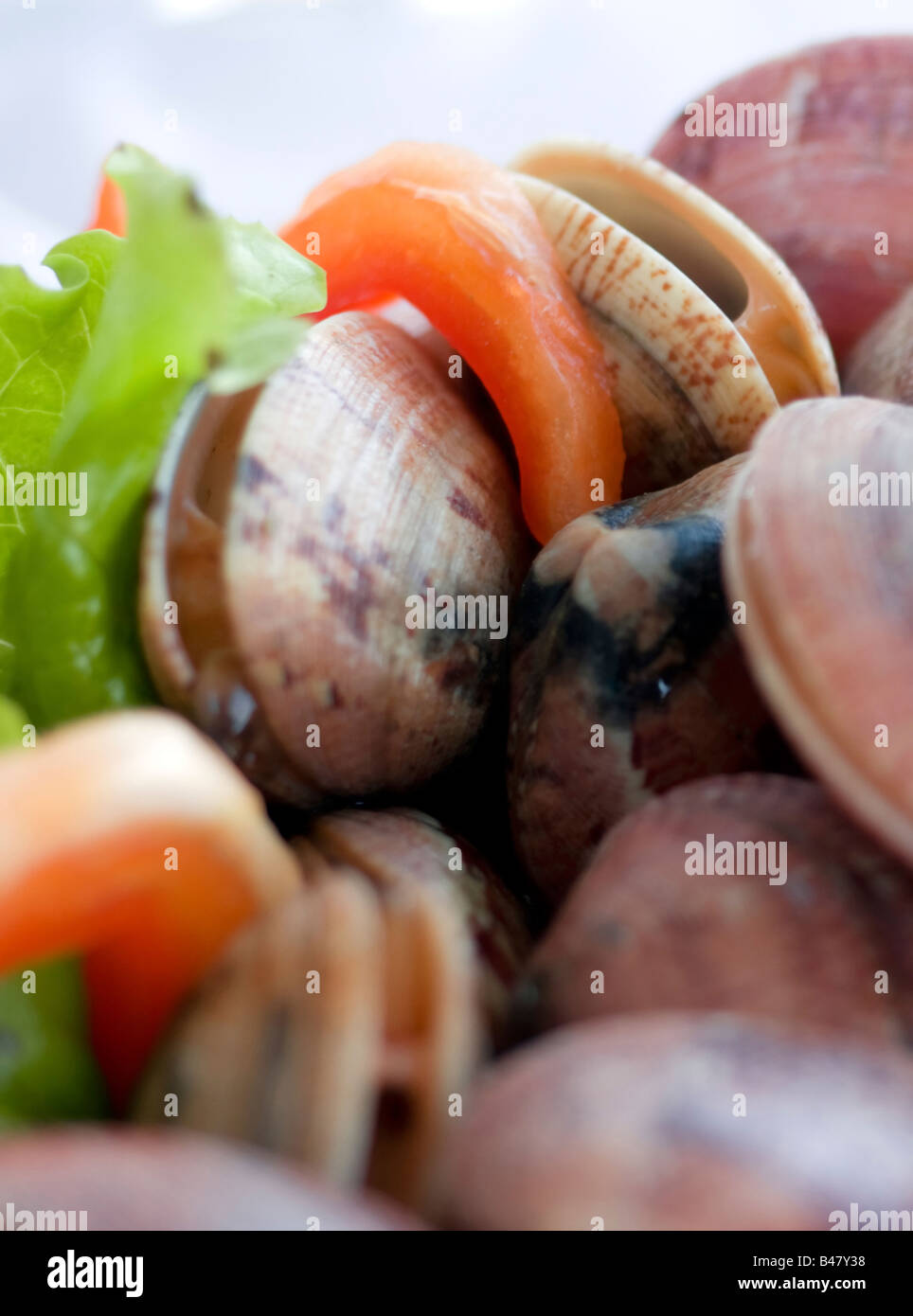 fresh clams with vegetables ready to cook Stock Photo - Alamy