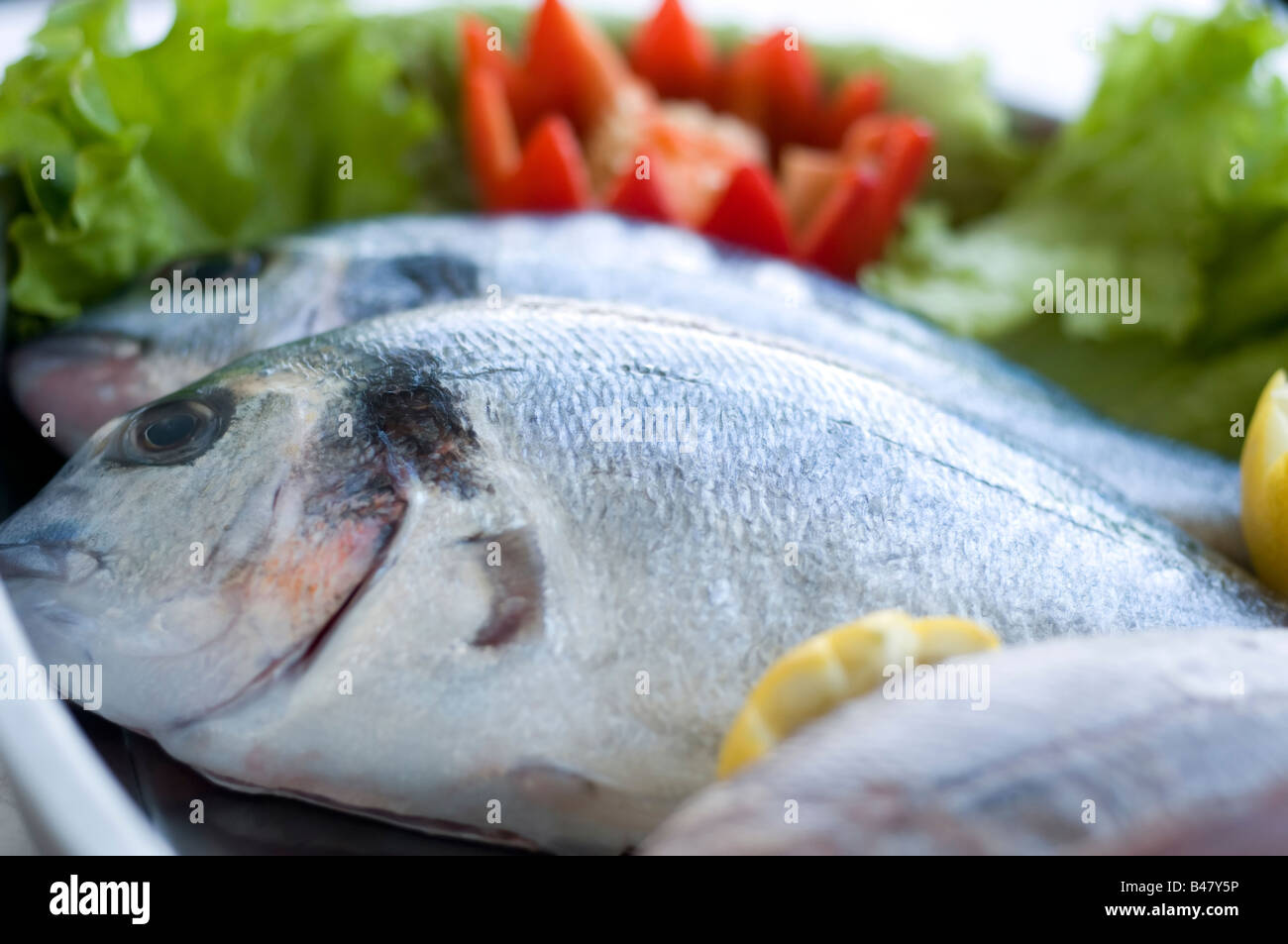 fresh bass with vegetables ready to cook Stock Photo - Alamy
