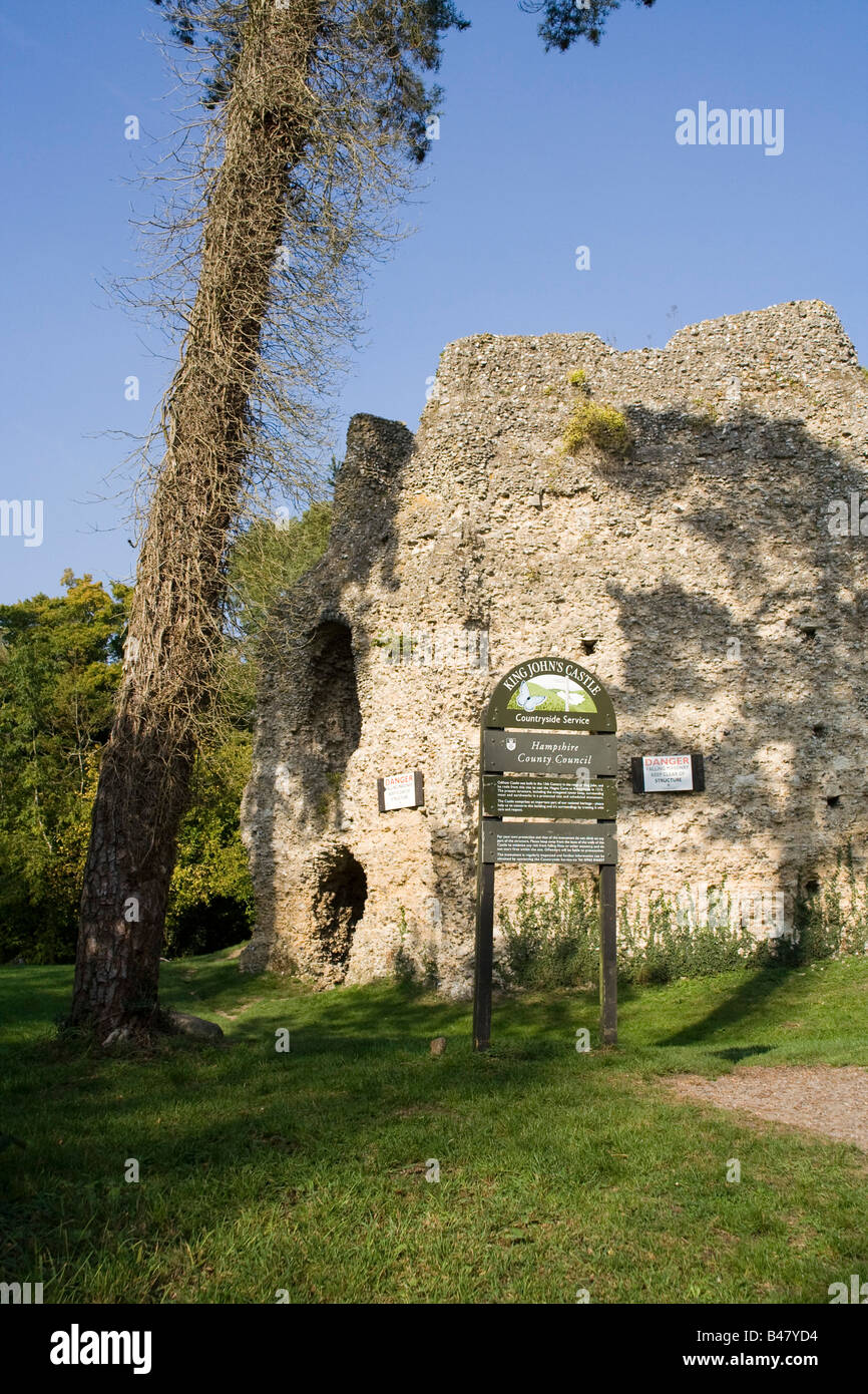 Odiham Castle (also known locally as King John's Castle) is a ruined ...