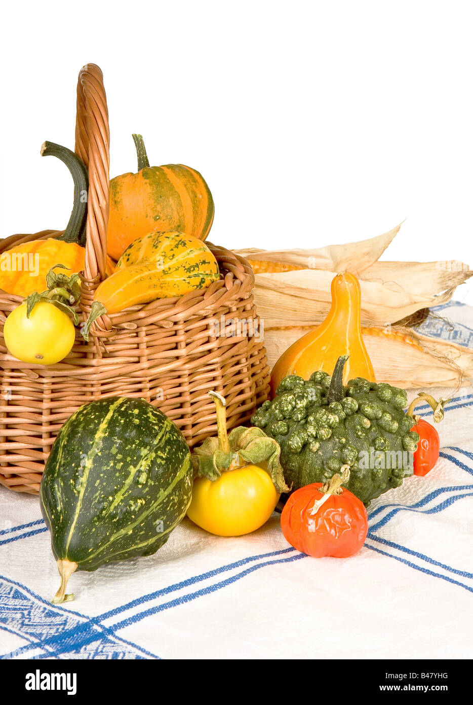Basket filled with assorted gourds for thanksgiving Stock Photo - Alamy
