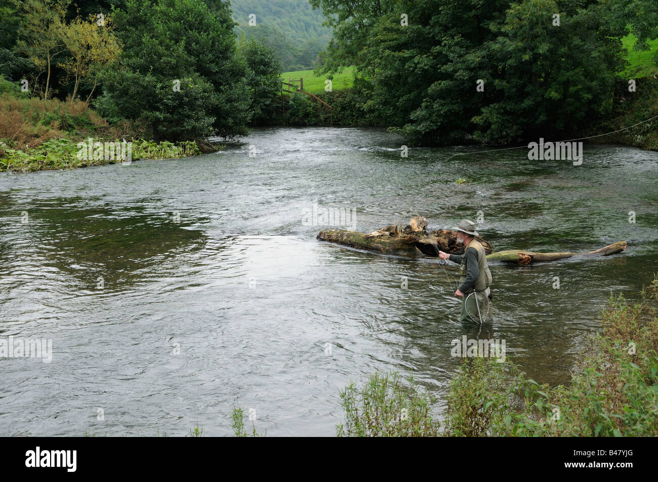 Fly fishing for Brown Trout and Grayling on the River Wye Monsal dale ...