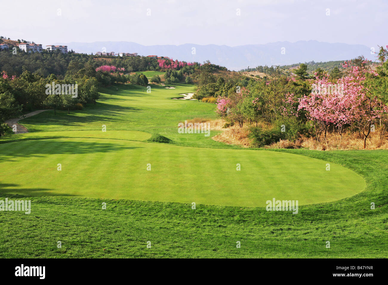 Golf Course View Stock Photo - Alamy
