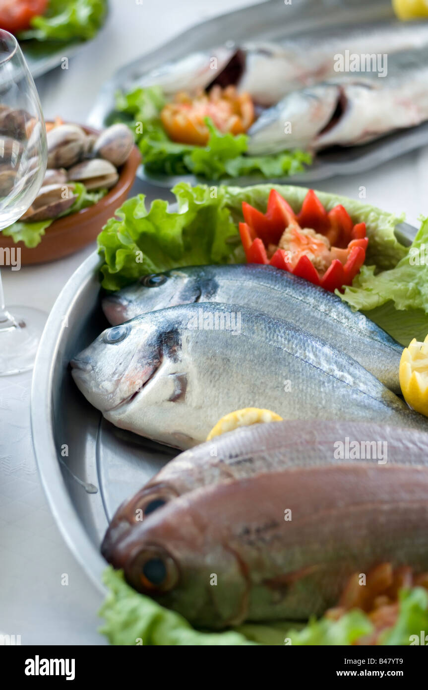 some fresh fish and seafood ready to cook Stock Photo - Alamy