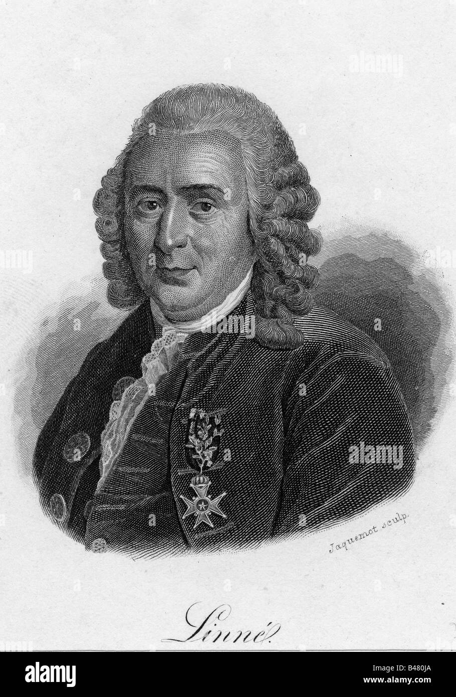 Carolus linnaeus hi-res stock photography and images - Alamy