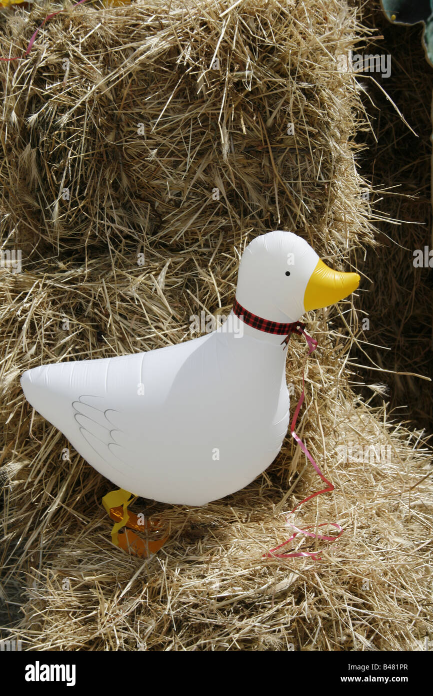 inflatable white duck balloon and straw bales Stock Photo - Alamy