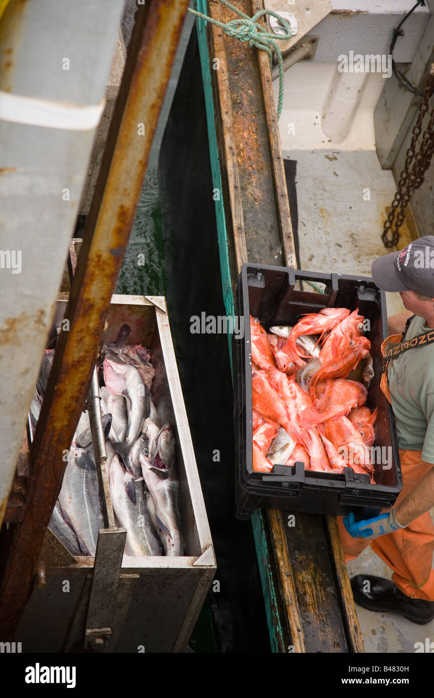 Landing fish hi-res stock photography and images - Alamy