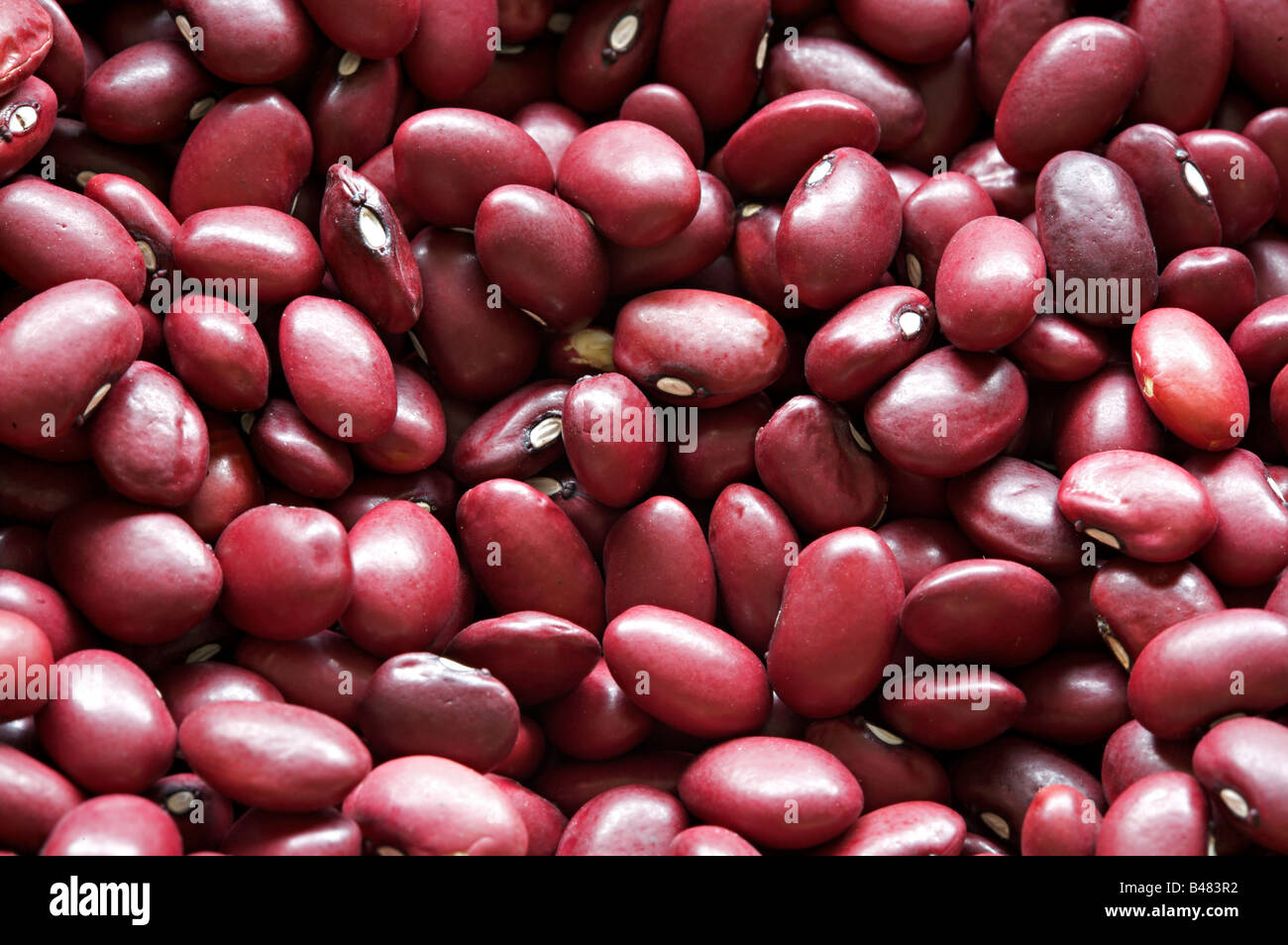 Small legumes hi-res stock photography and images - Alamy