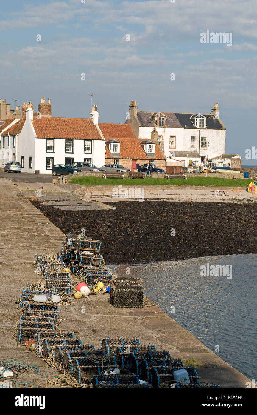 Property For Sale East Neuk Of Fife at Antonio Fore blog