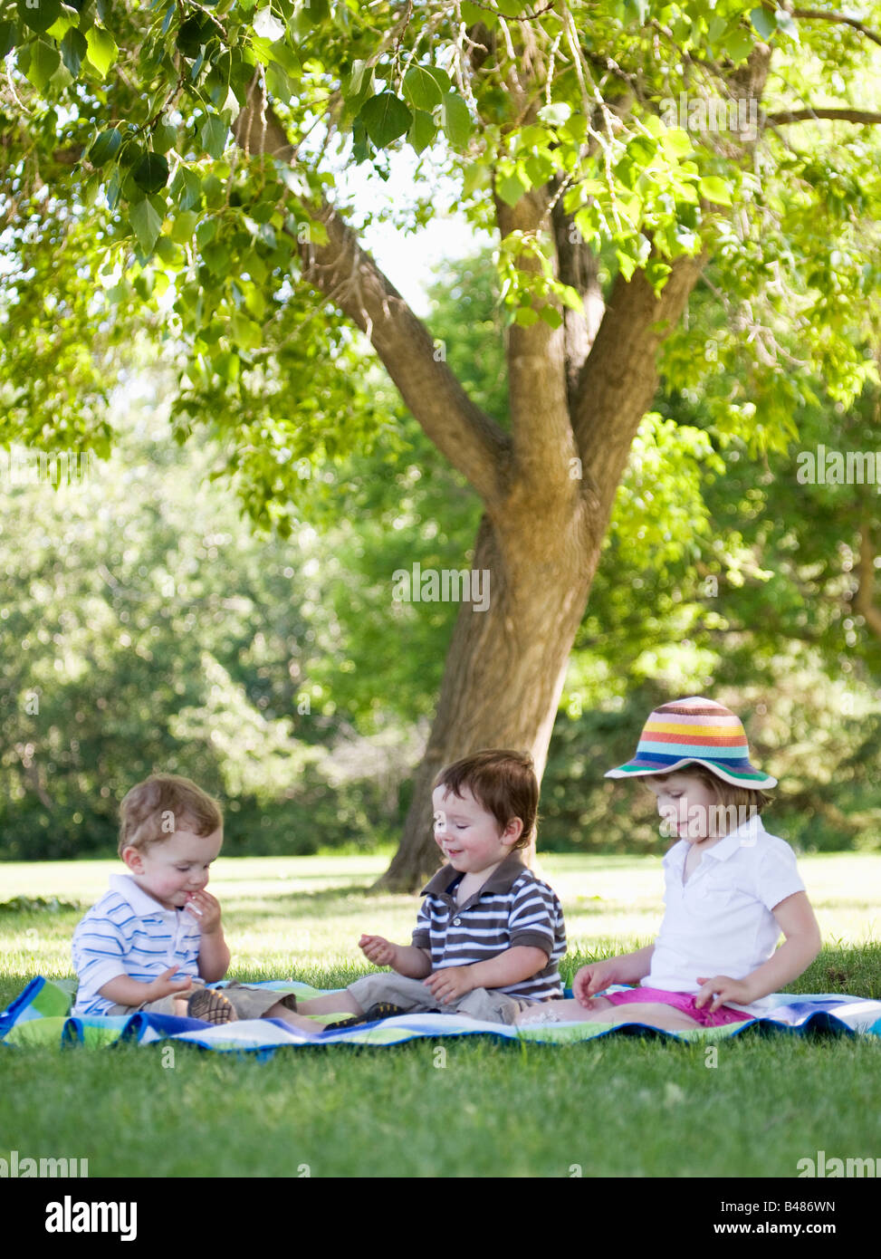 Three children sitting under a tree Stock Photo - Alamy