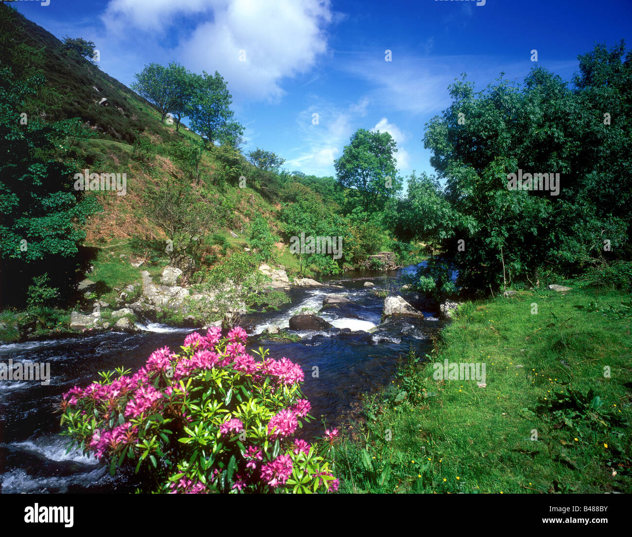 Stream running through Doone Valley on Exmoor Stock Photo - Alamy