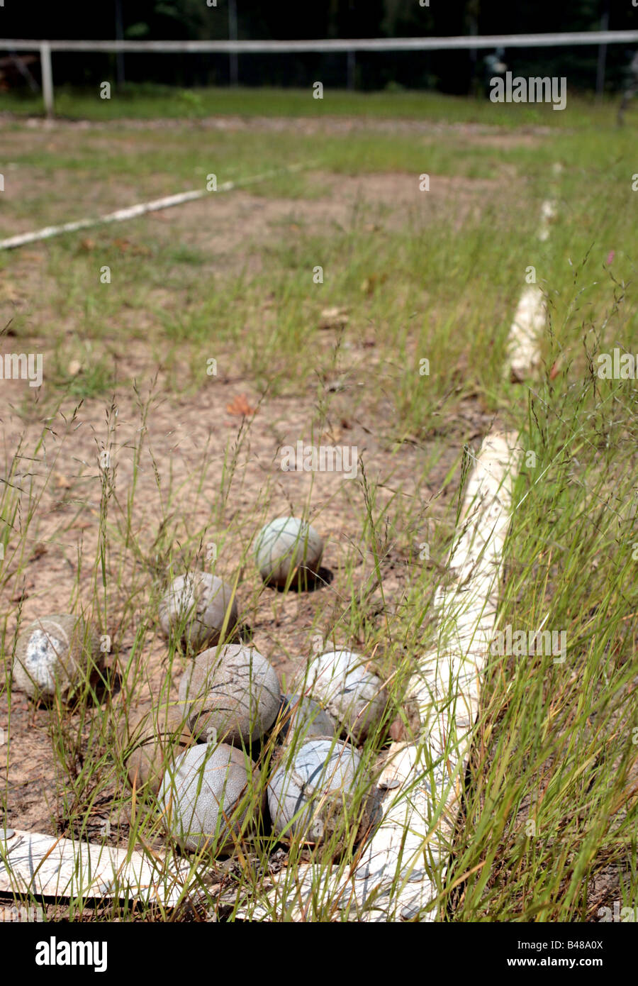 Rotting tennis balls on a neglected clay court Stock Photo - Alamy