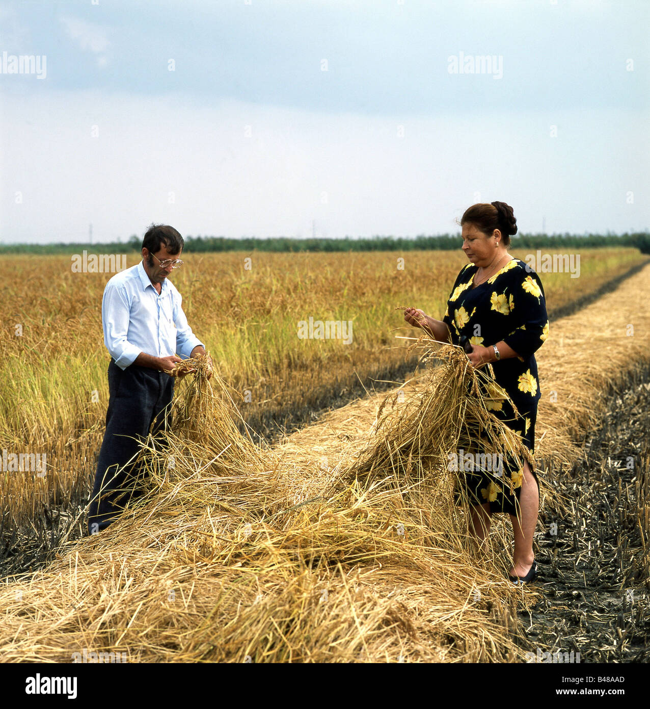 geography / travel, Russia, agriculture / farming, technician and ...