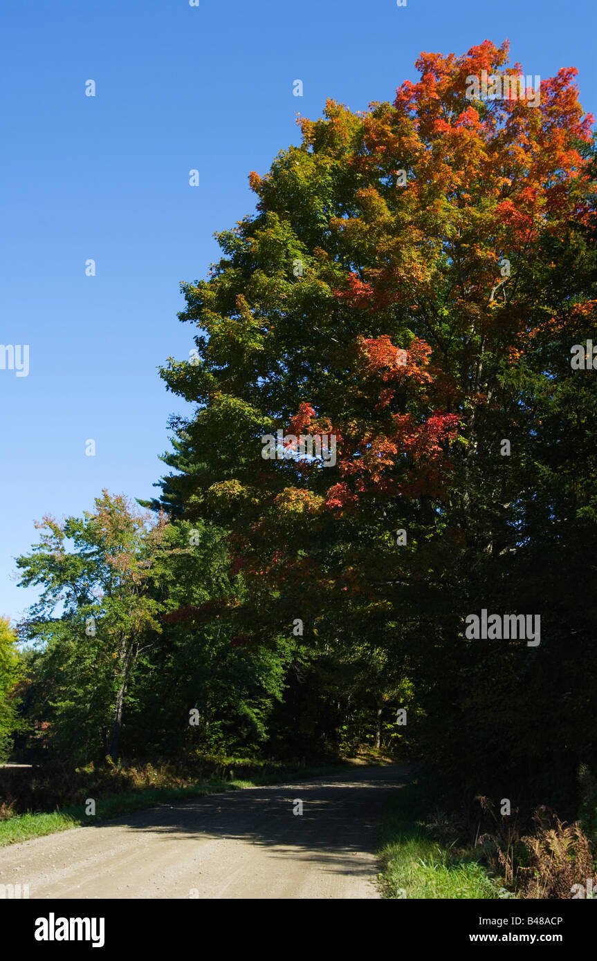 Vermont back road in early autumn with partial fall colors in ...