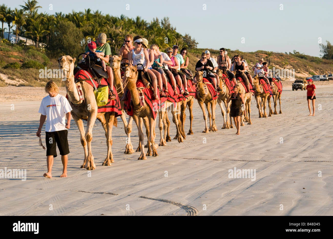 Camel trains carrying tourists on Cable Beach Broome Western Australia ...