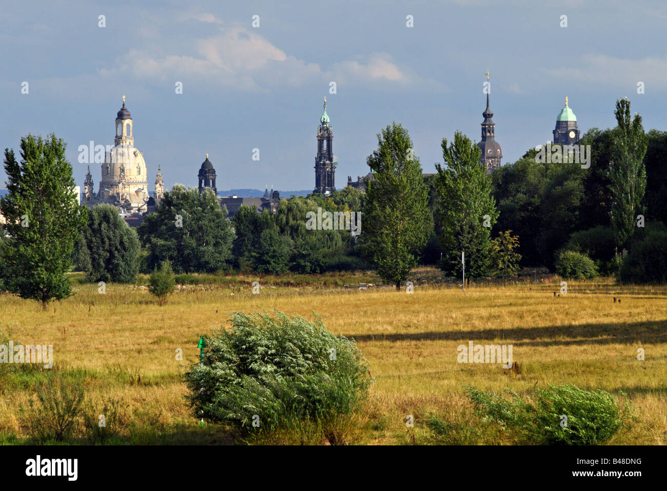 View over meadows to the town centre of Dresden, Germany Stock Photo ...