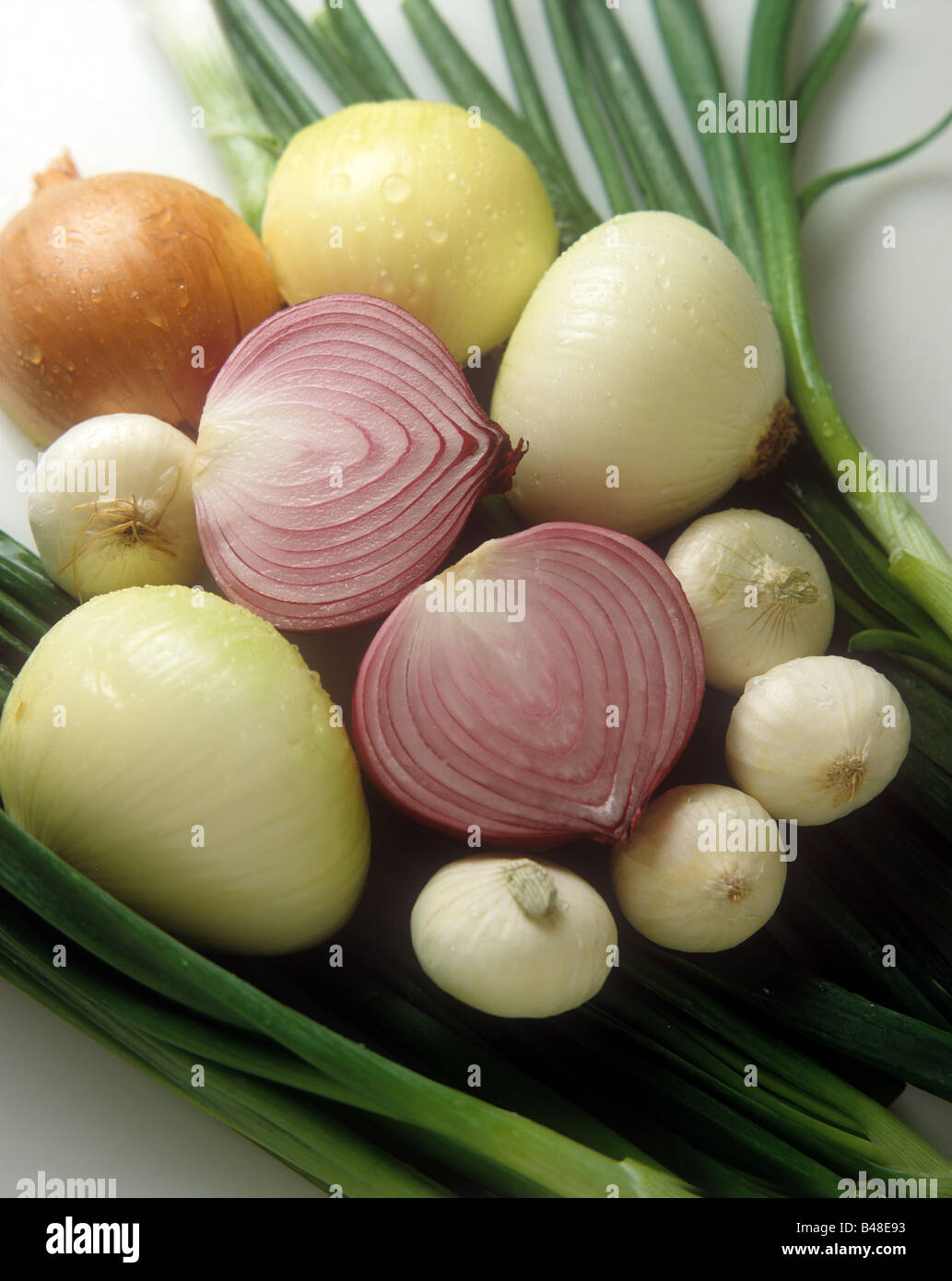 New types of farming hi-res stock photography and images - Alamy