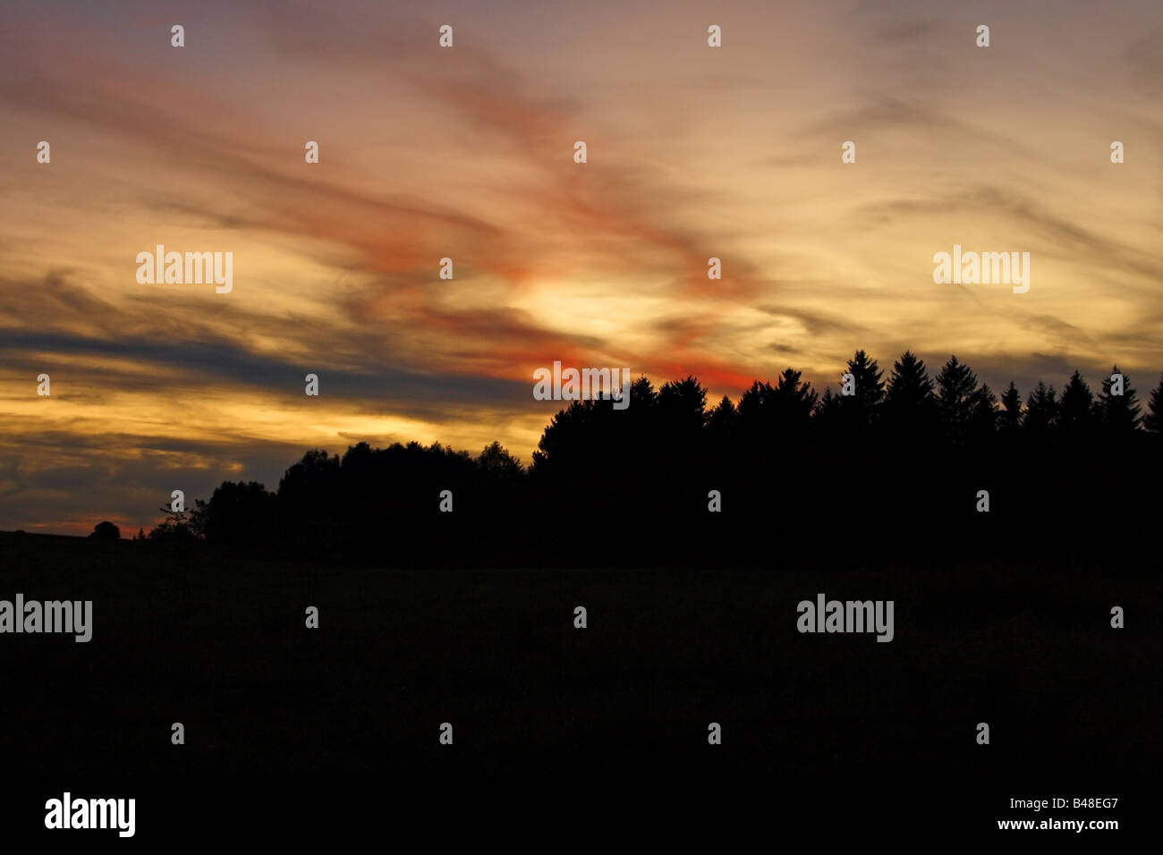 Sunset above the forest Stock Photo - Alamy