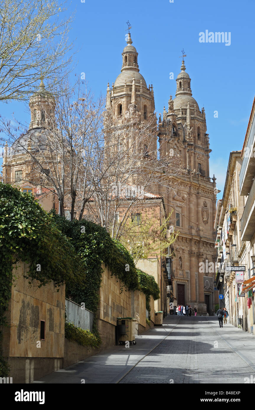 The medieval towers of the Cathedral seen through trees Salamanca Spain ...