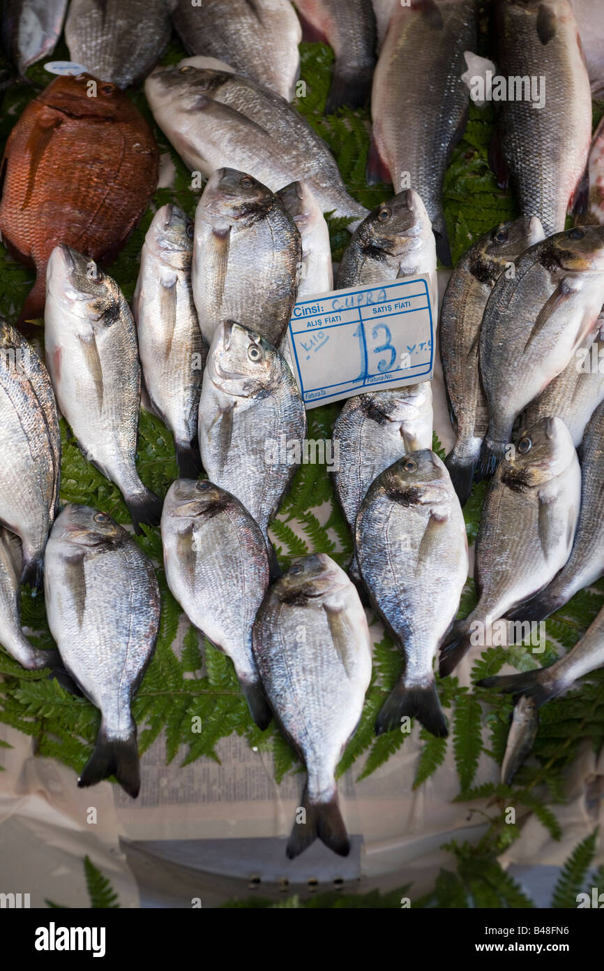 Cupra Fish Market Stall Karakoy Fish Market Istanbul Turkey Stock Photo ...