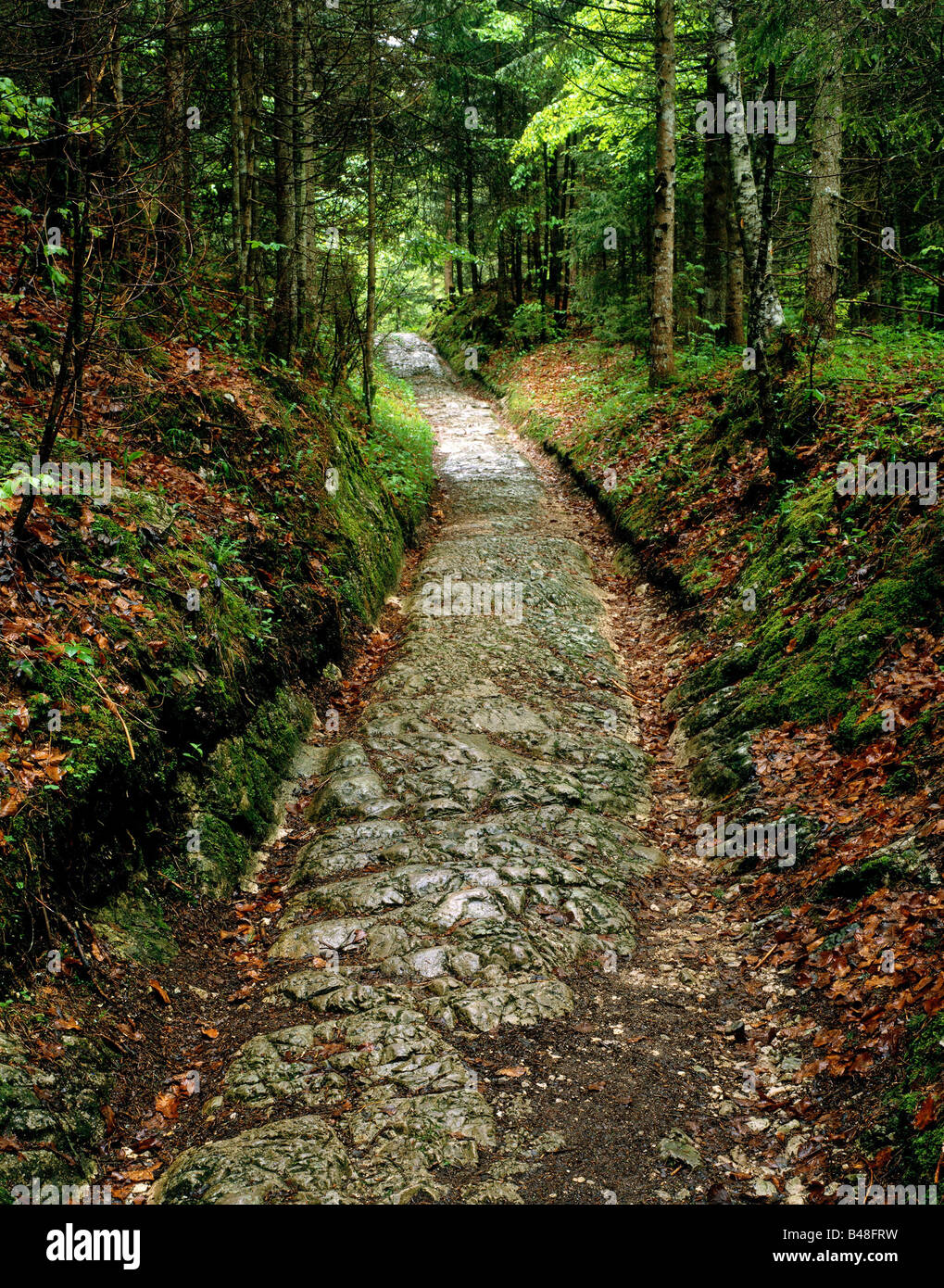 Via raetia hi-res stock photography and images - Alamy