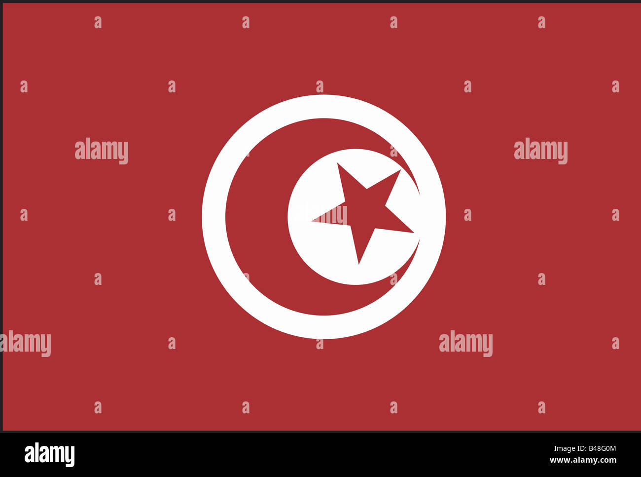 Banner Heraldry Crescent Moons