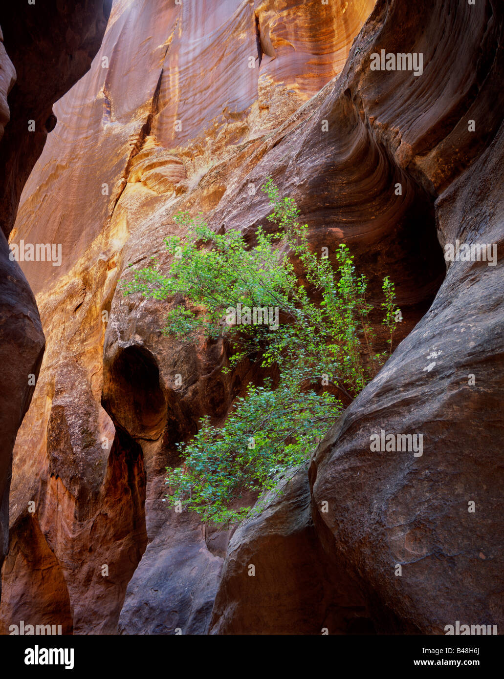 Gulch wall hi-res stock photography and images - Alamy