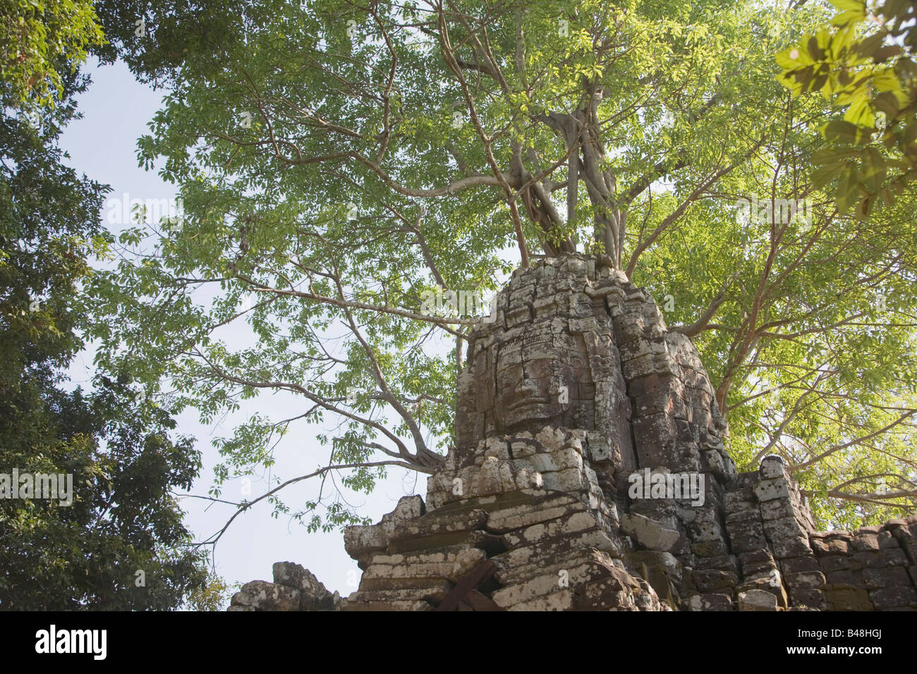 Tree growing behind Bodhisattva carving at Ta Som, Angkor, Cambodia ...