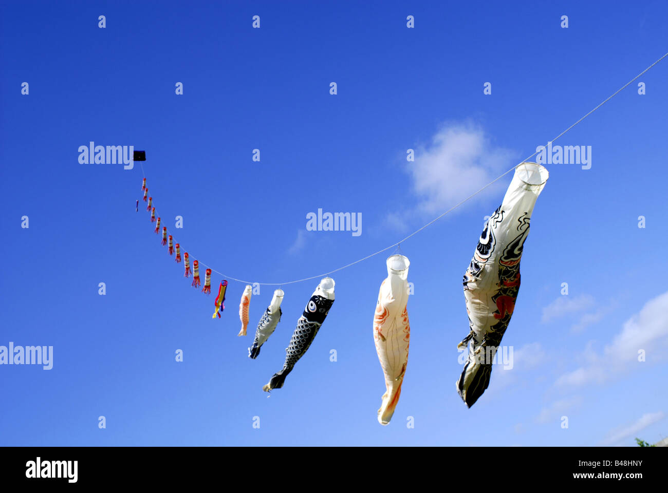 Fish-shaped kites in a dark blue sky Stock Photo - Alamy