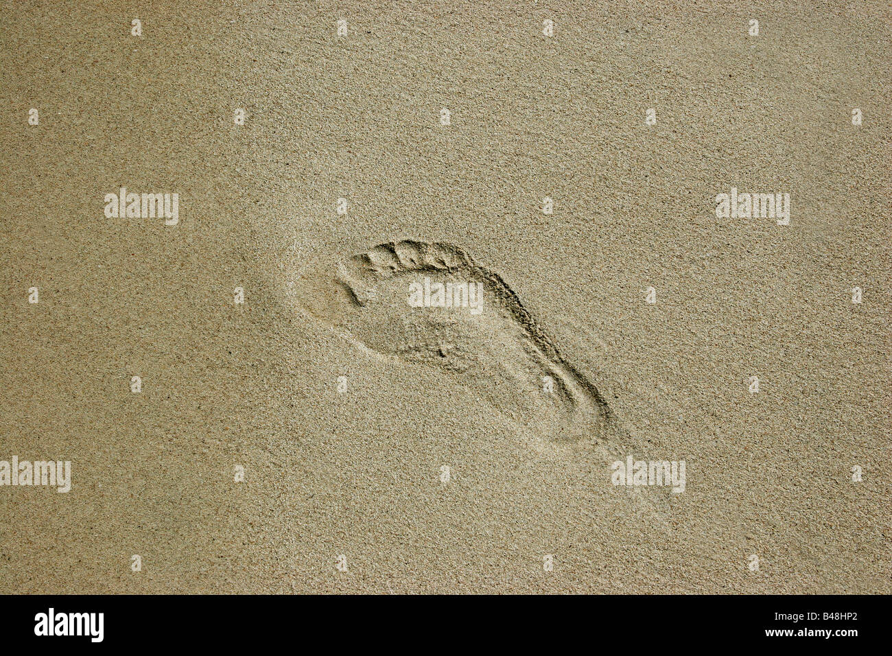 single footprint left in the sand on a beautiful beach Stock Photo - Alamy