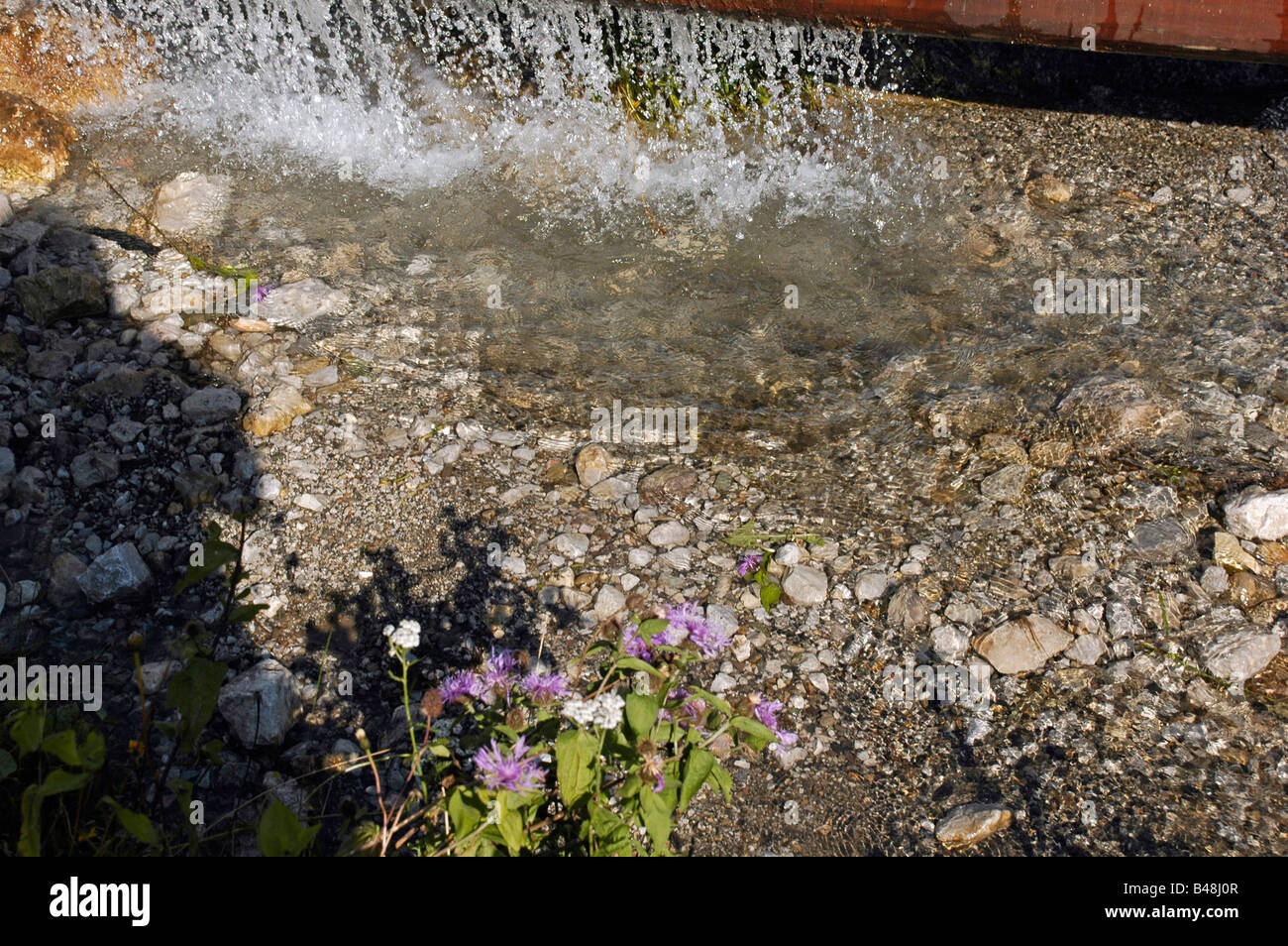 Austria Upper Austria Almtal valley Lake Alm Stock Photo - Alamy