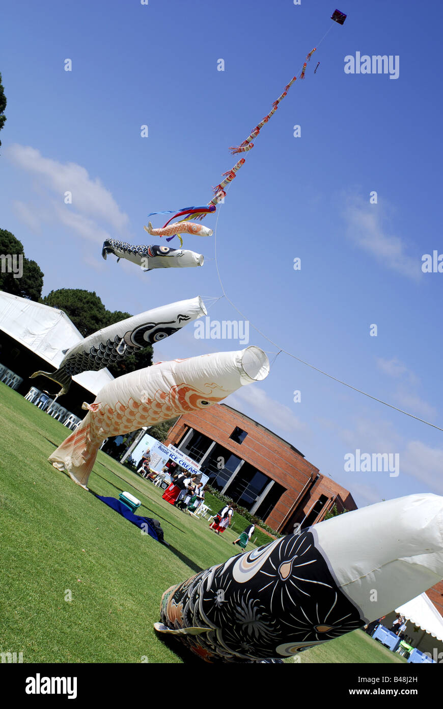 Fish shaped kites hi-res stock photography and images - Alamy