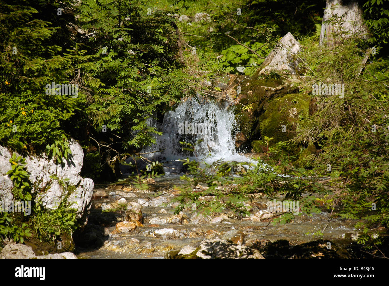 Austria Upper Austria Almtal valley Lake Alm Stock Photo - Alamy